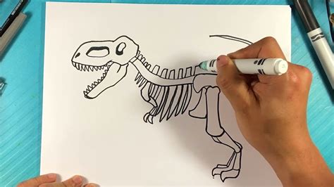 Dinosaur Fossils Drawing