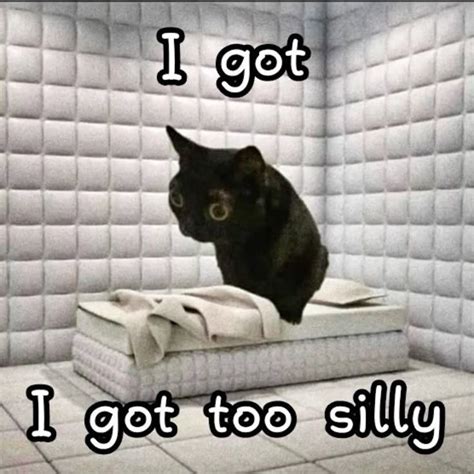 Silly Cat Sitting On A Mattress