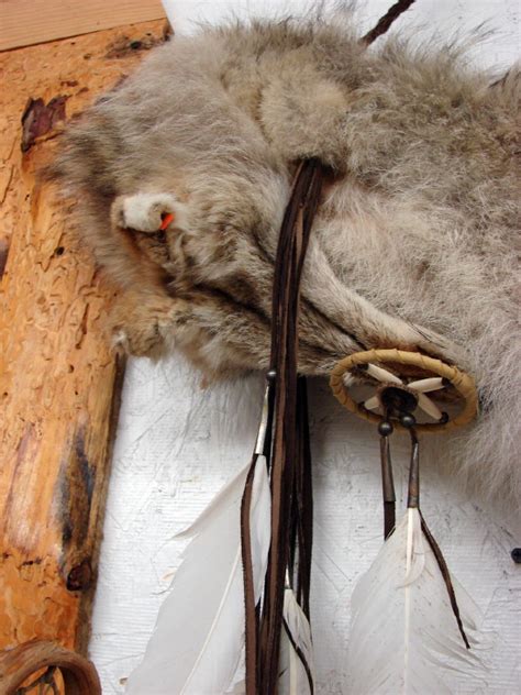 Authentic Native American Indian Arrow Quiver Navajo Real Grey Fox Pelt