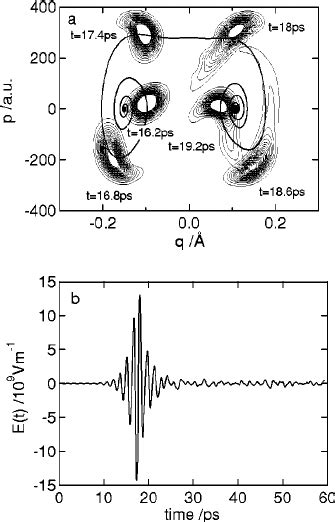 Controlled Wave Packet Dynamics In The Phase Space By Using The Field