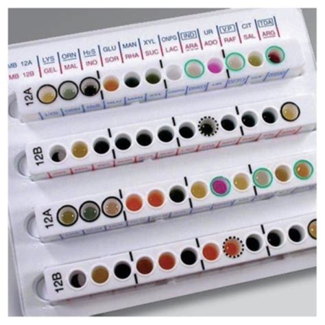 Oxoid Microbact Staph Fast Blu Mb1588a Oxoid Sls