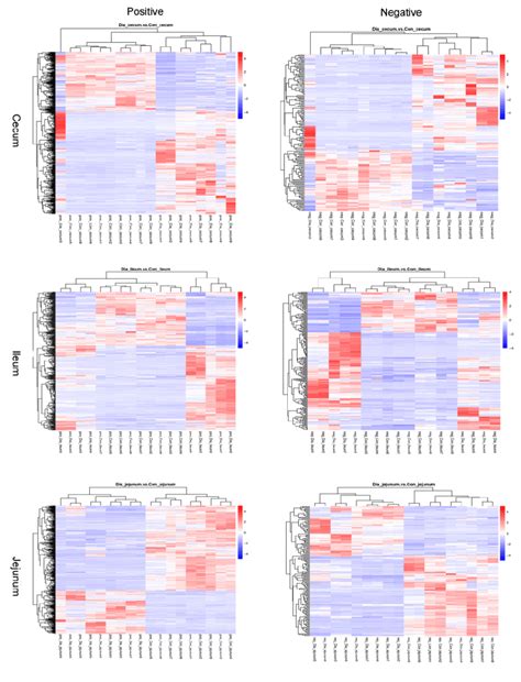 The Difference In Cluster Heat Maps Of Jejunum Ileum And Cecum Tissue