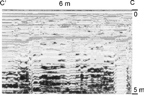 Gpr Profile Along Transect C C See Fig 1 Crossing The Tomb Limit