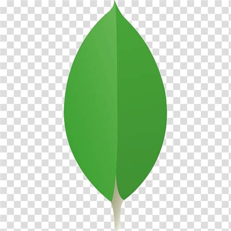 Green Grass Mongodb Database Documentoriented Database Dashboard