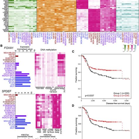 Snp Inheritance Gene Expression And Dna Methylation Patterns In