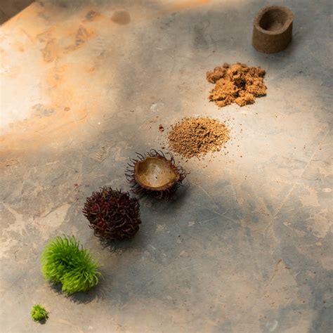 Migrating Objects Behance