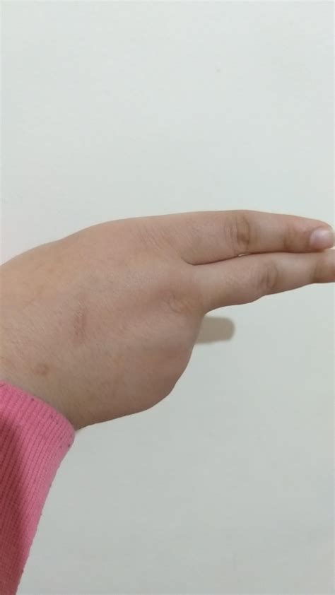 Rgb Arabic Alphabet Sign Language Object Detection Dataset Object
