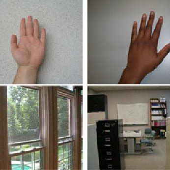 Images Used To Train The Hand Detector Top Positive Examples Download Scientific Diagram