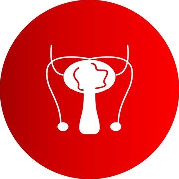 BEST Male Reproductive System IMAGES STOCK PHOTOS VECTORS Adobe Stock