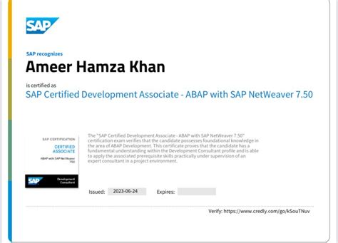 Ameer Hamza Khan On Linkedin Abapconsultant