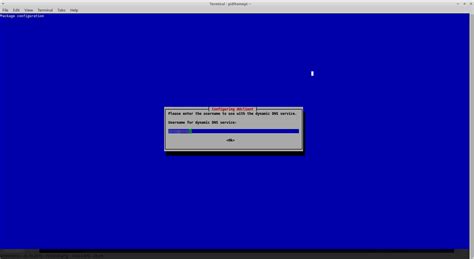 Run A Dyndns Client Under Raspbian Ask Sheldon Tech Blog