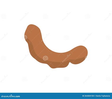 Fruit Tamarind Logo Design Tamarind Pods Tamarindus Indica Fruits Tropical Fruits Vector