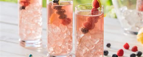 Raspberry Rose Punch Vons