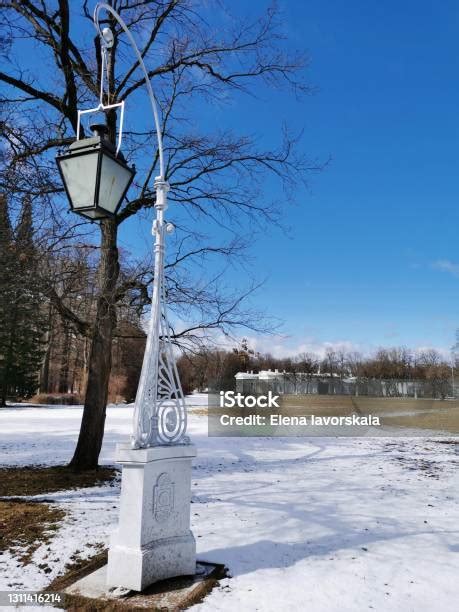 상트페테르부르크의 엘라긴 공원의 봄 해동 패치 녹는 눈 물 웅덩이 구름이 있는 푸른 하늘에 대한 나무 0명에 대한 스톡 사진 및 기타 이미지 Istock