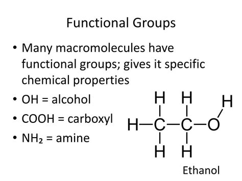 Ppt Macromolecules Powerpoint Presentation Free Download Id 1597421