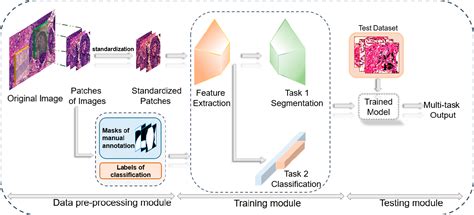 figure 1 from a multi task convolutional neural network for lesion
