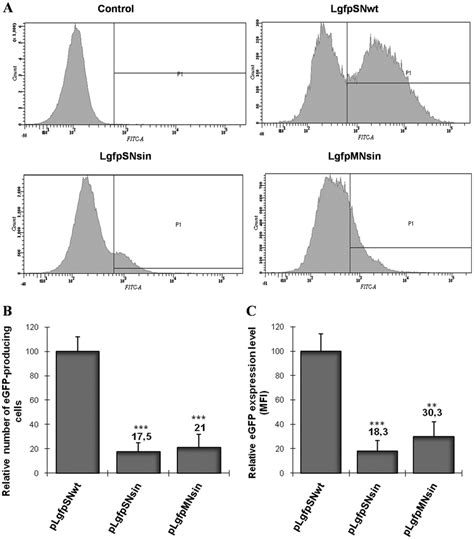 Expression Patterns Of Full Length Rna Transcripts In Transfected