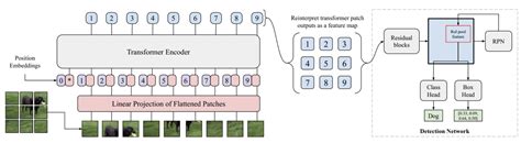 Yolos：通过目标检测重新思考transformer 智源社区