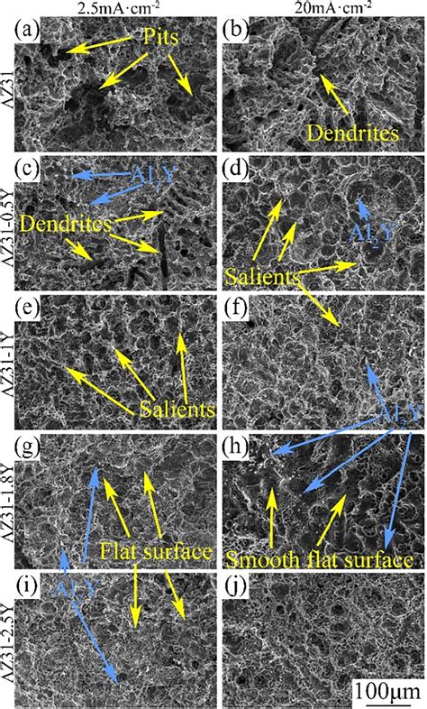 The Surface Morphologies Of Magnesium Based Anodes After Discharge At