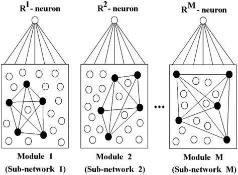 A Schematic Picture Of Nn1 Modular Assembly Neural Network Each Pair Download Scientific