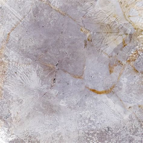 Segment of a Circle Scøpe Xanexx Ve Bogel SCOPÁVIK