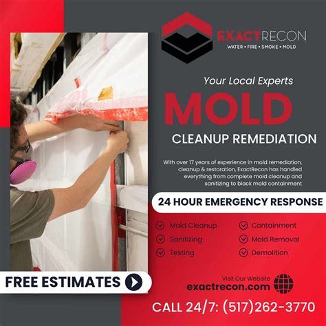 Mold Cleanup Remediation Sanitation And Restoration 247 Emergency Services
