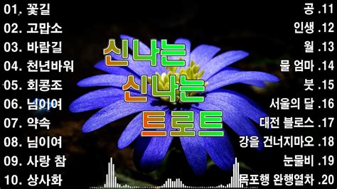 신나는 신나는 트로트 Kpop Trot Playlist 🍅 김희재장민호양지은홍지윤정동원영탁이찬원김태연