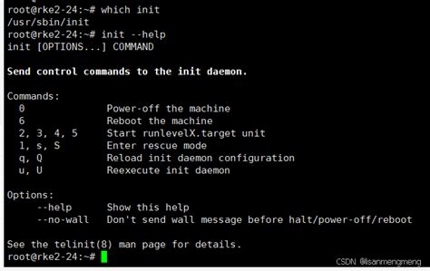 init 命令介绍和使用案例 csdn博客