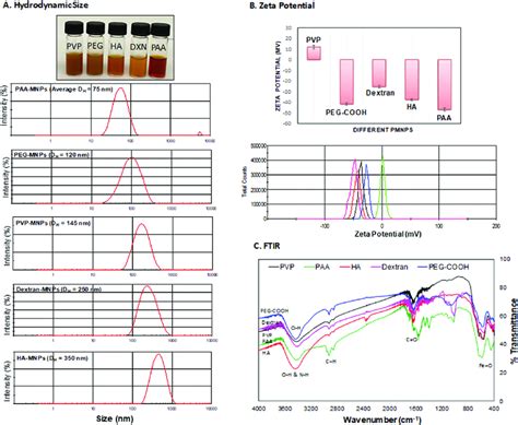 A Representative Graphs Of The Hydrodynamic Size D H Distributions Download Scientific