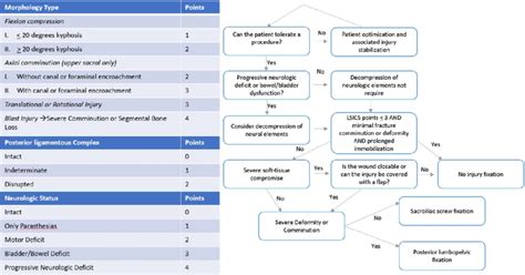 Lumbosacral Injury Classification Scoring System And Flowchart