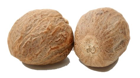Nutmeg Jaifal PNG Image Free Download Graficsea