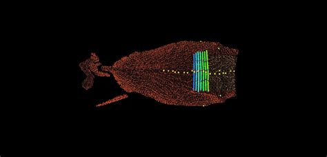 Automated Lameness Detection In Dairy Cows Dellait