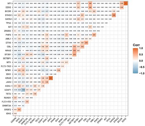 Co Mutation Patterns Of Sf Mutations In Aml Patients The Heatmap Of