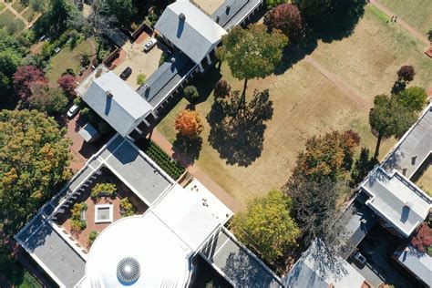 Uva Lawn Tree Framework Plan — Wolf Josey Landscape Architects