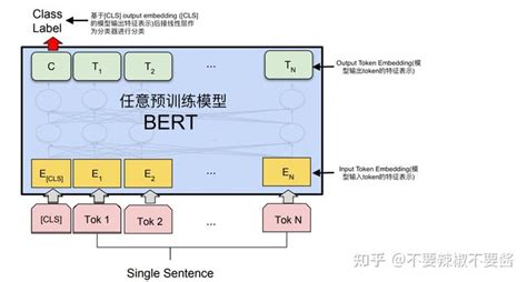 NLP从零入门预训练时代下深度学习模型的文本分类算法超多干货小白友好内附实践代码和文本分类常见中文数据集 知乎