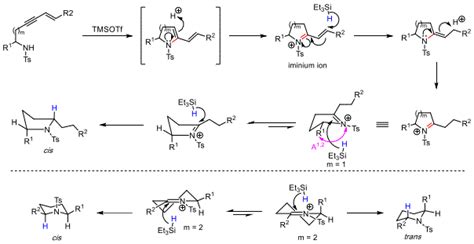 Total Synthesis Of Pyrrolidine And Piperidine Natural Products Via Tmsotf Mediated 5 6 Endo Dig
