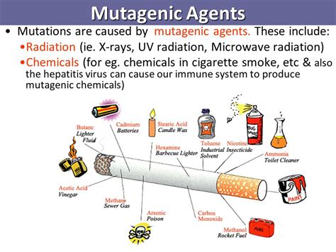 Topic 6 Mutations Ppt Video Online Download