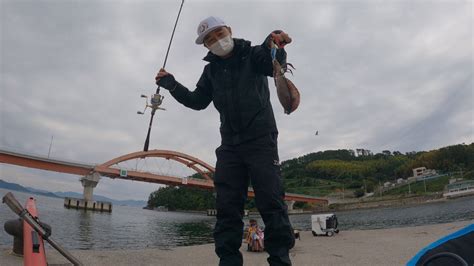 무늬오징어낚시 And 먹방 황덕도 칠천도 거제도 Youtube