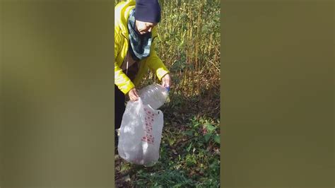 Берегите лес! Уберите за собой мусор и по возможности за свиньями - YouTube