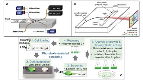 Integrated Microfluidic Platforms And Devices That Have Been Used To