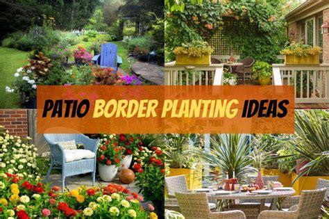 Patio Border Planting Ideas 22 Ways To Brighten Your Oasis
