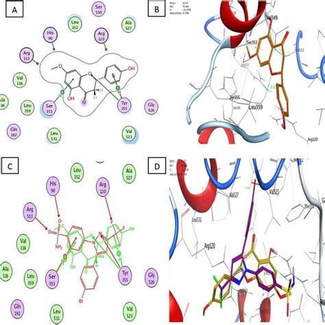 An Overlay And Binding Pattern Of S58 Into Cox 2 Active Site Pdb 1cx2 Download Scientific
