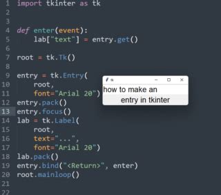 How To Create An Entry Input Field With Python And Tkinter Python Programming