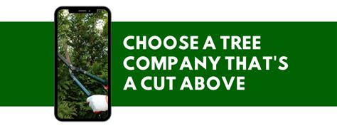 About Us Flower Mound Tree Service