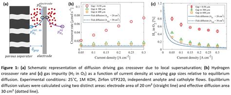 Gas Crossover And Supersaturation In Advanced Alkaline Water
