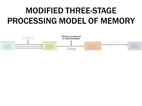 Memory Diagram Quizlet Memory Diagram Quizlet