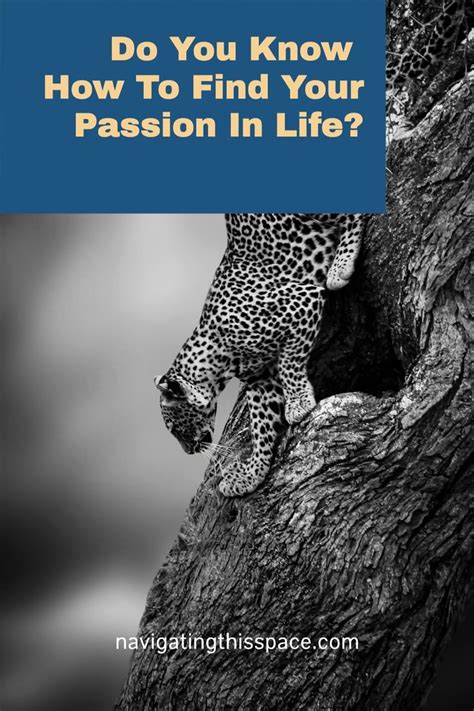 Discover Your Passions and Purpose in Life