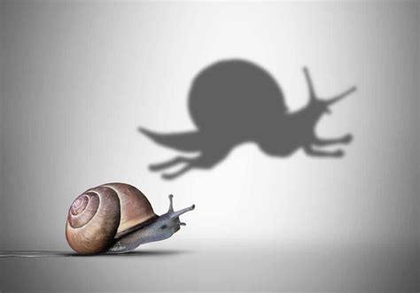 Unlocking The Power Of Capability Based Planning A Quick Guide Conexiam