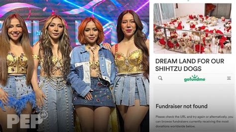 4th Impact GoFundme page for dogs shut down | PEP.ph