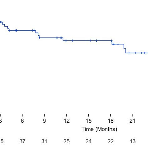 Figure Duration Of Complete Response In Patients With Rr Lbcl Who